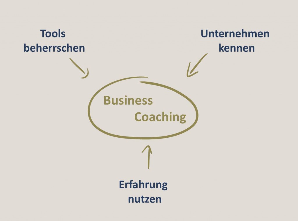 Schema Business Coaching - Dr. Braak | Business Coach | Keynote Speaker ...