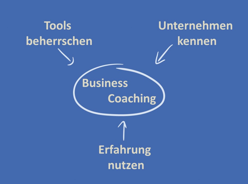 Schema Business Coaching - Dr. Braak | Business Coach | Keynote Speaker ...